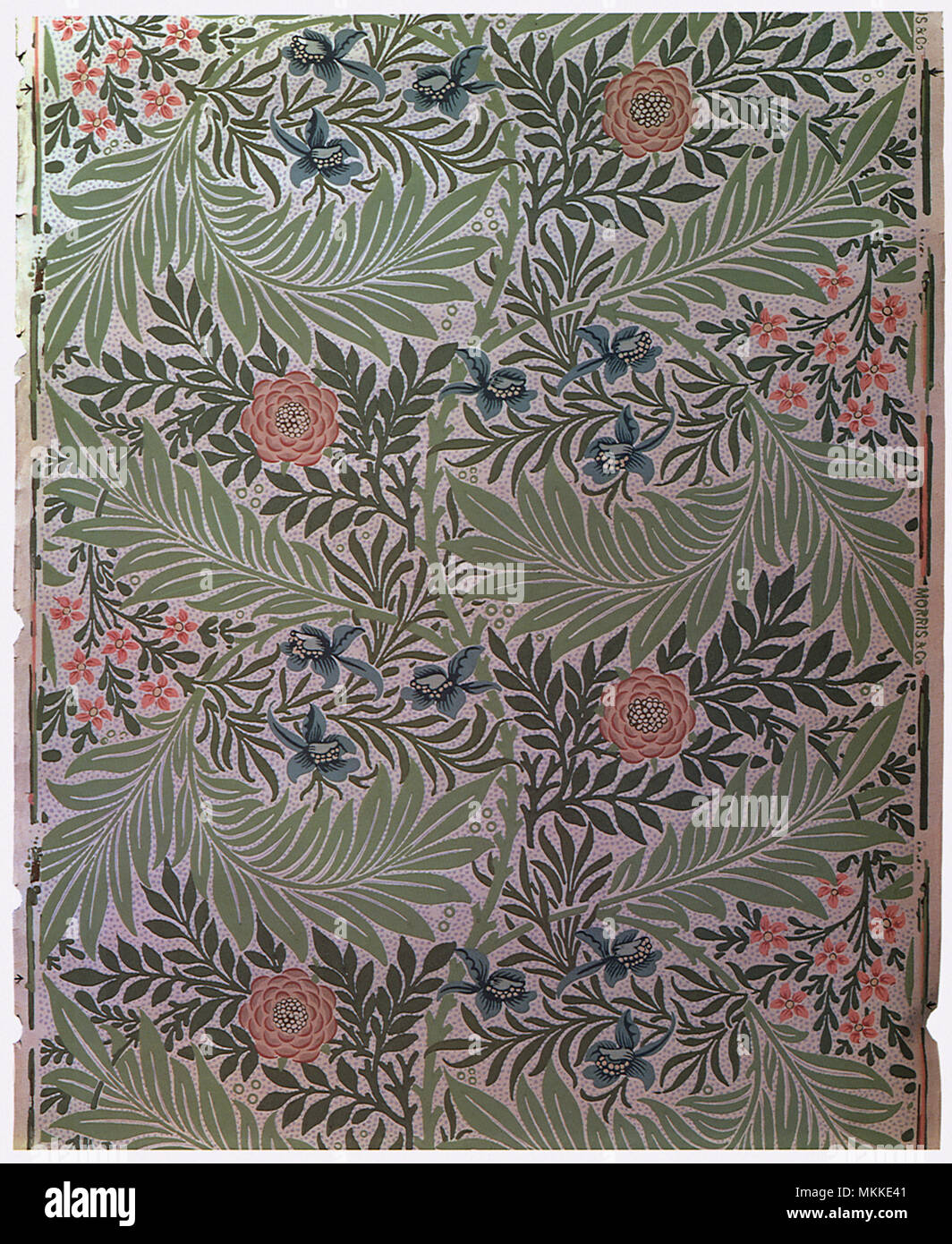 Polychrome designs hi-res stock photography and images - Alamy