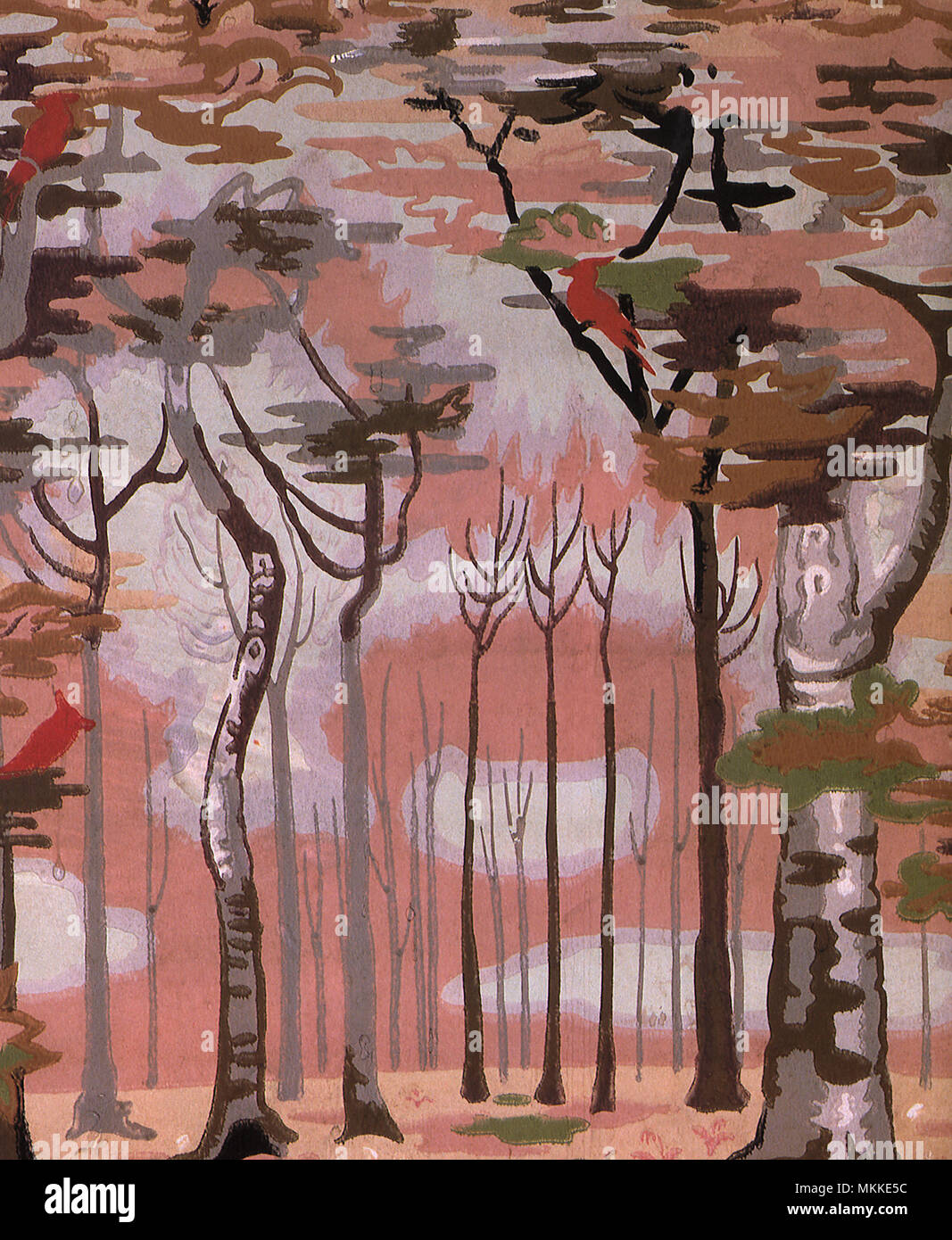 Birds and Beech Trees Stock Photo - Alamy