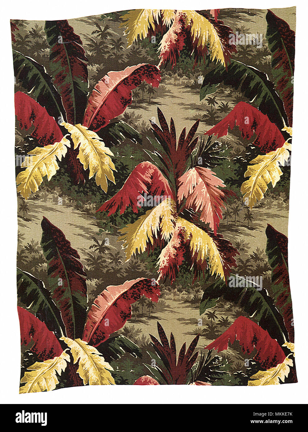 Bright Tropical Leaves Stock Photo - Alamy