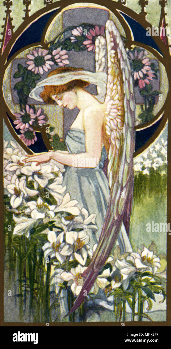 Lily field hi-res stock photography and images - Alamy