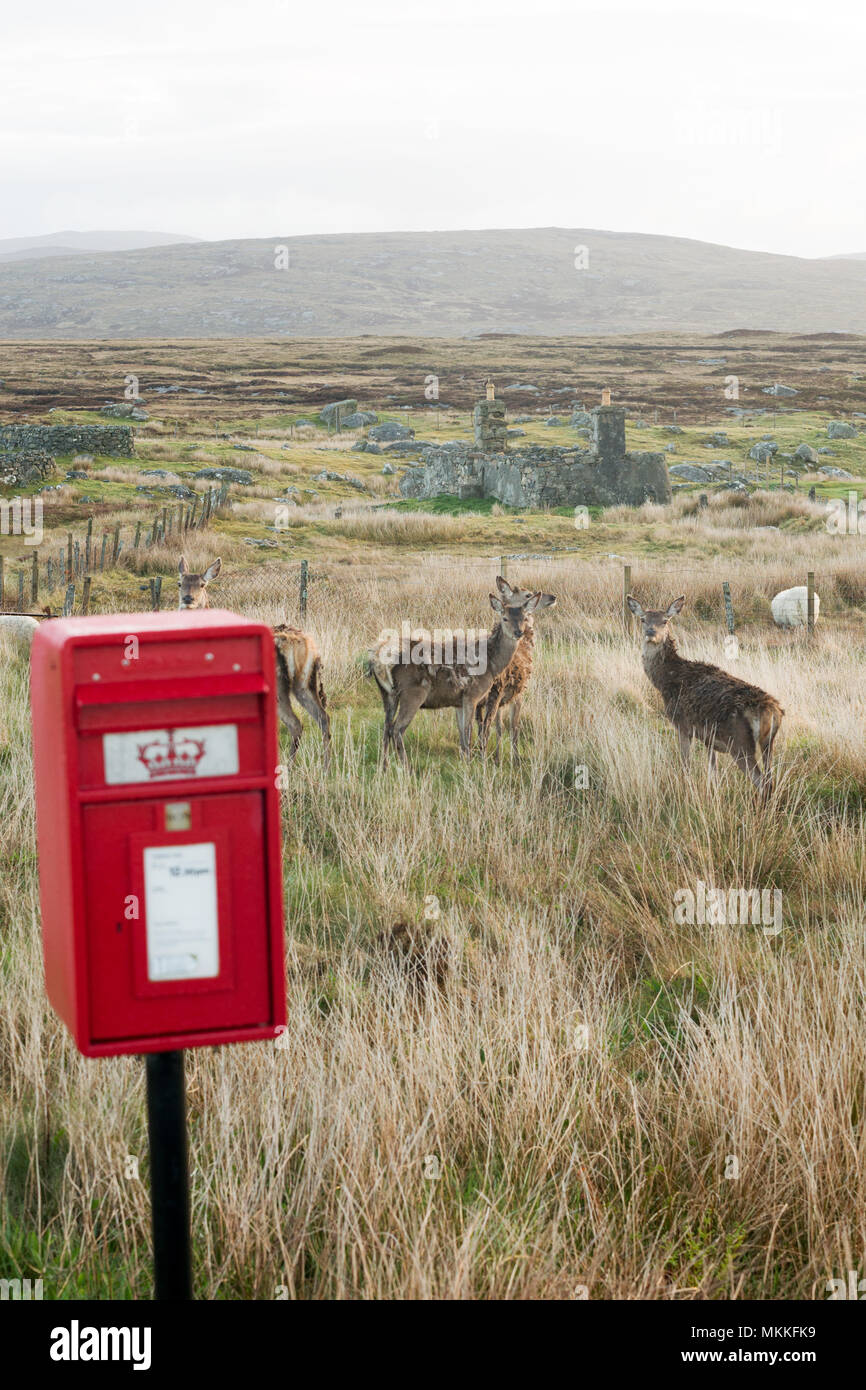 Youve got mail hi-res stock photography and images - Alamy