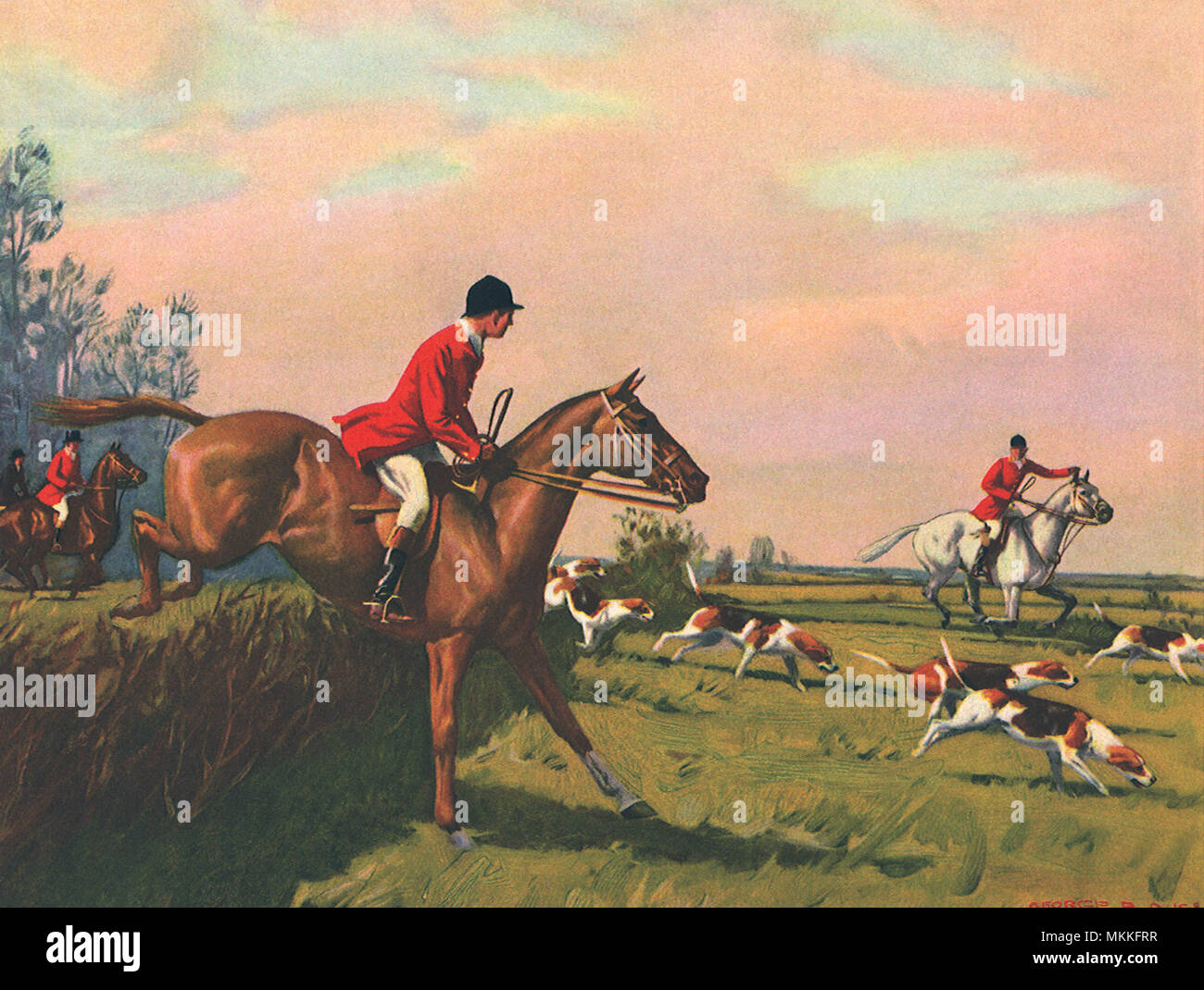 Hunters Jump Hedges Stock Photo - Alamy