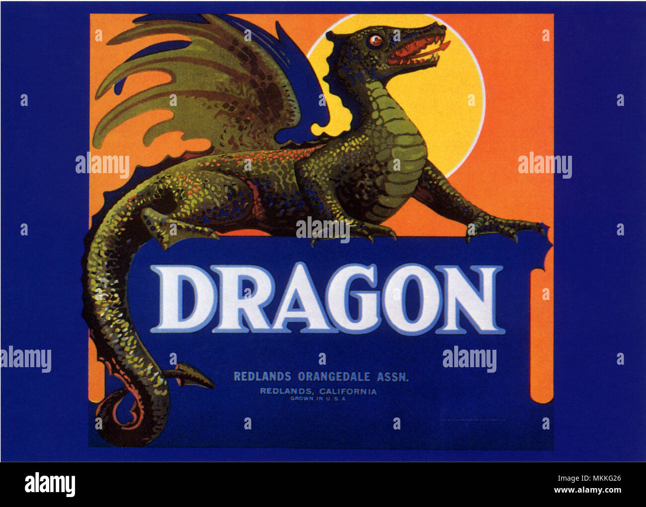 Dragon fruit illustration hi-res stock photography and images - Alamy