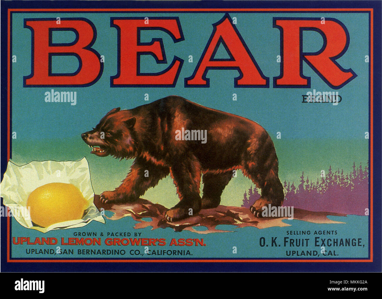 Bear Fruit Label Stock Photo - Alamy