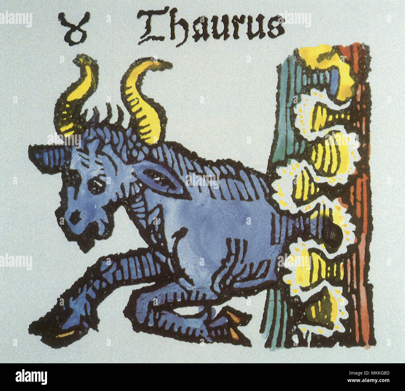Taurus the Bull Stock Photo - Alamy