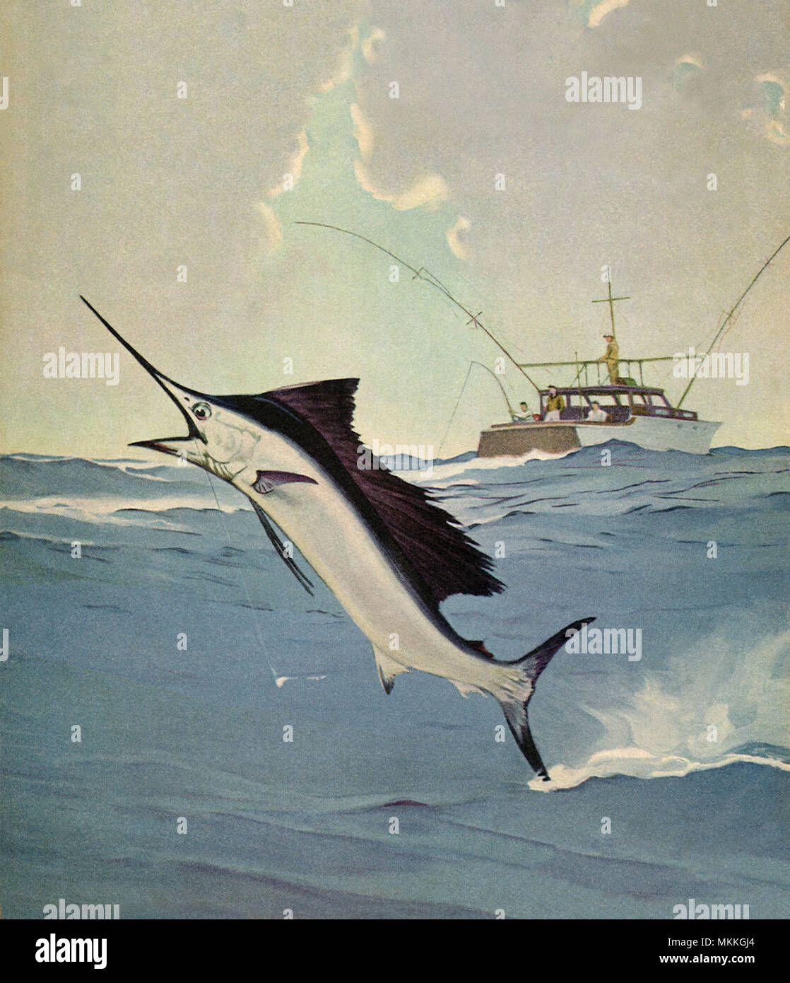 Marlin line hi-res stock photography and images - Alamy