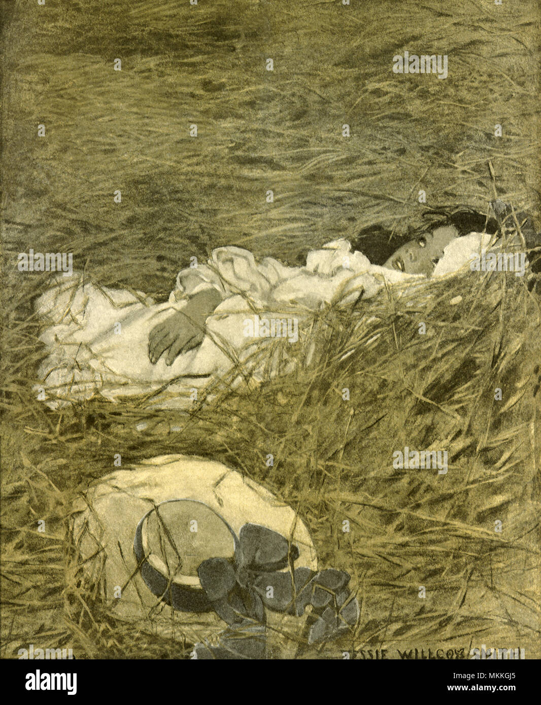 Five ducks hi-res stock photography and images - Alamy