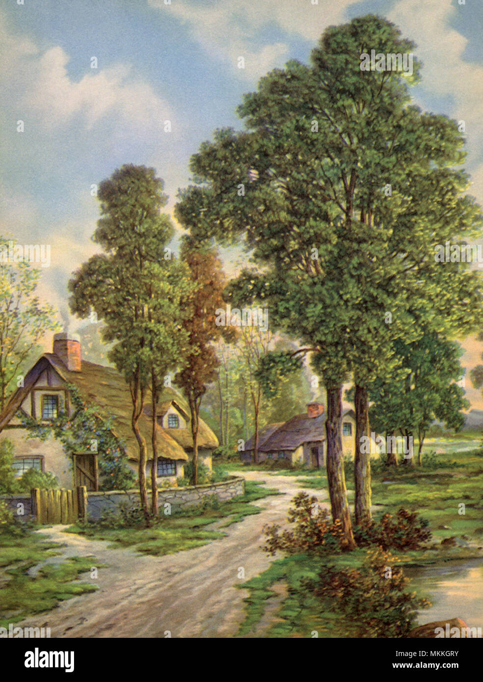 Cottage and Tall Trees Stock Photo - Alamy