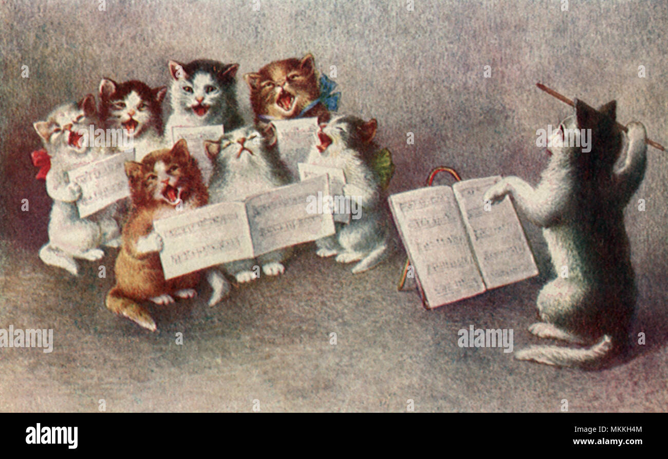 Cat cat music sheet hi-res stock photography and images - Alamy