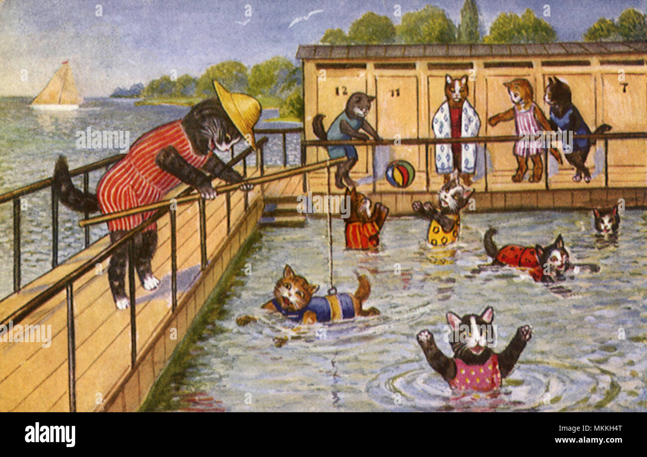 Cats play in Swimming Pool Stock Photo - Alamy