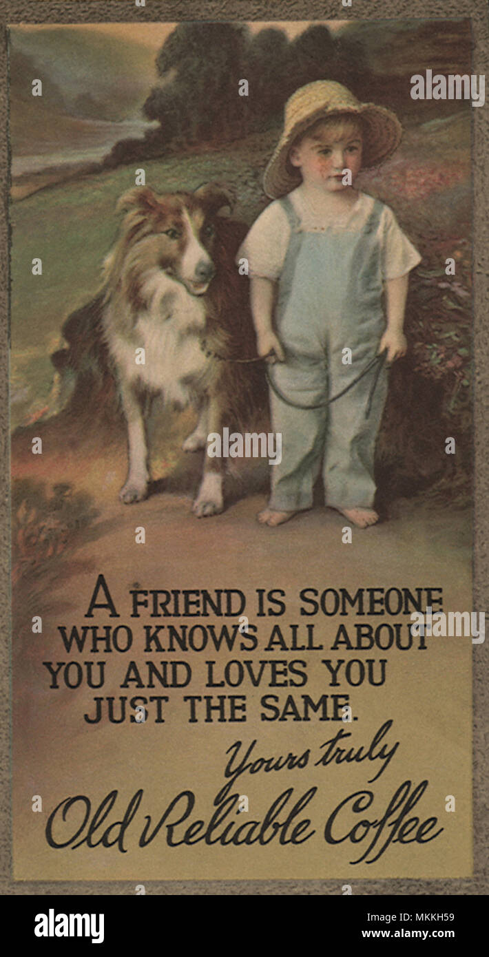 Boy collie hi-res stock photography and images - Alamy