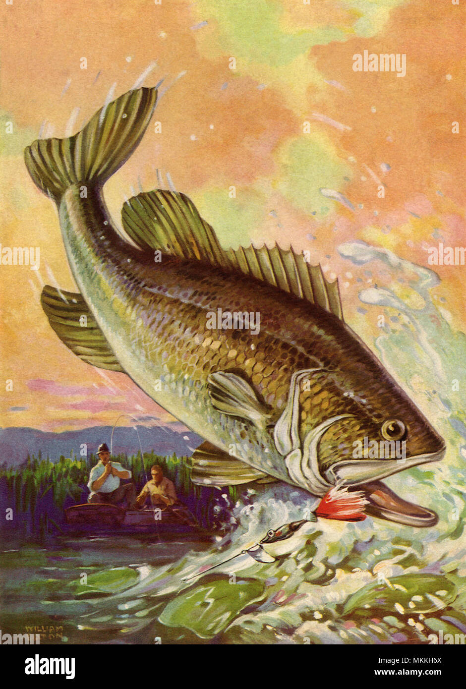 Hooked tail hi-res stock photography and images - Alamy