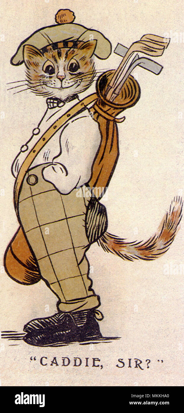 Cat games hi-res stock photography and images - Alamy