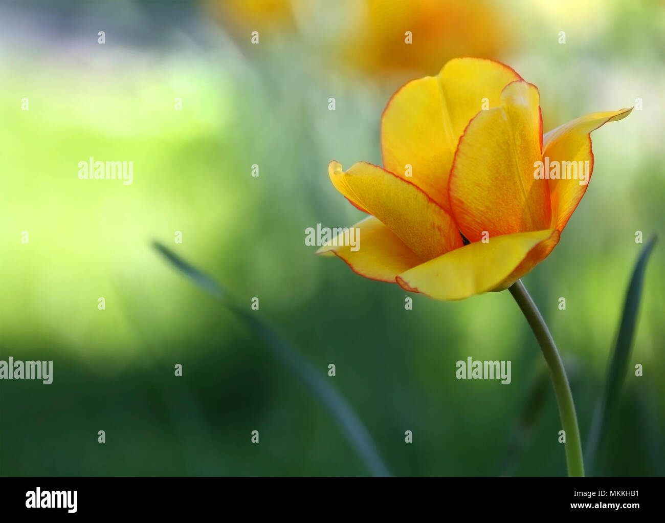 Boomed hi-res stock photography and images - Alamy