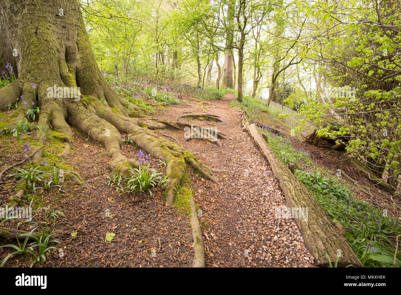 Well trodden paths hi-res stock photography and images - Alamy