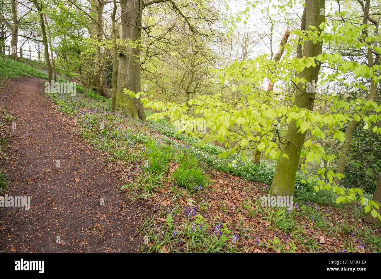 Well trodden paths hi-res stock photography and images - Alamy