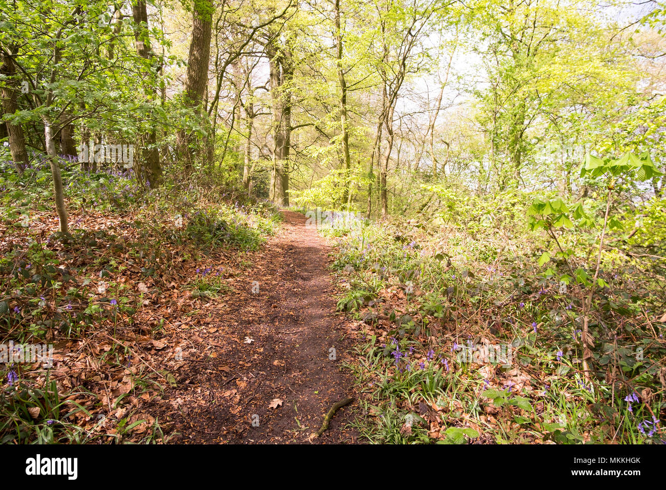 Well worn trail hi-res stock photography and images - Alamy