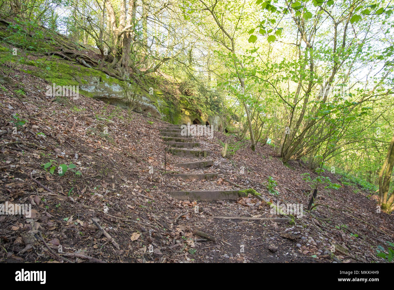Stepped path hi-res stock photography and images - Alamy