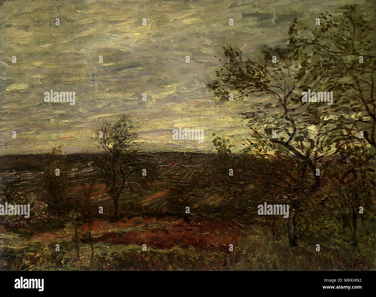 Very windy hi-res stock photography and images - Alamy