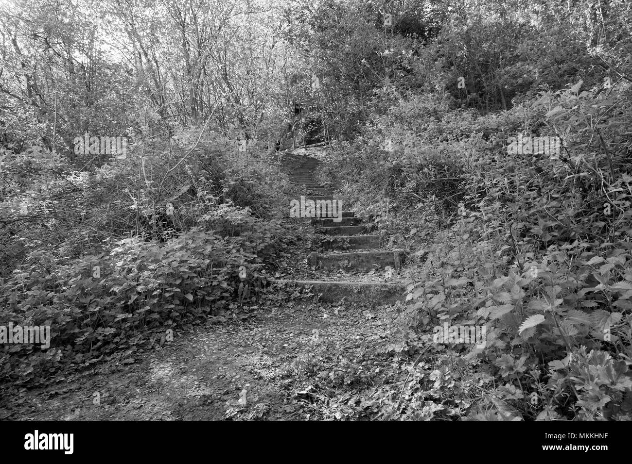 Shady hiking Black and White Stock Photos & Images - Alamy