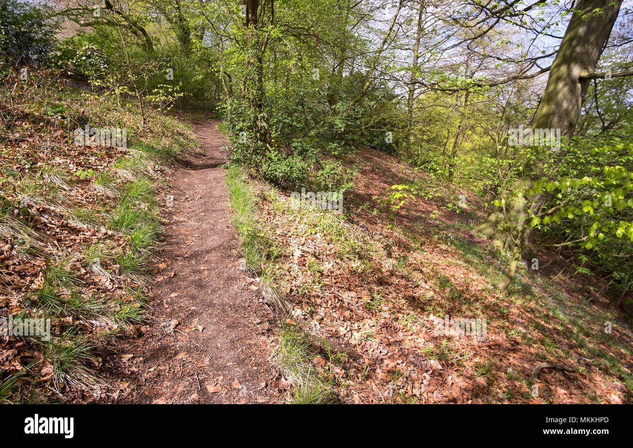Well trodden dirt path hi-res stock photography and images - Alamy