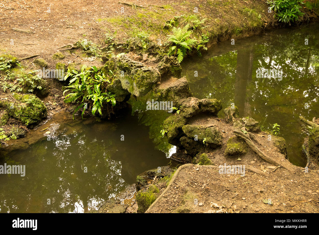 A small bridge crossing a woodland stream image Stock Photo - Alamy