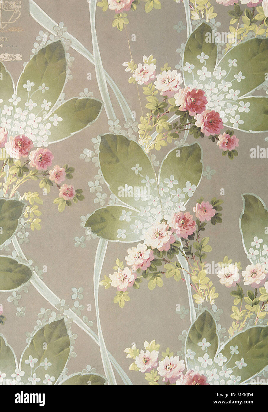 Green trefoil leaves sprinkled with tiny white flowers Stock Photo - Alamy