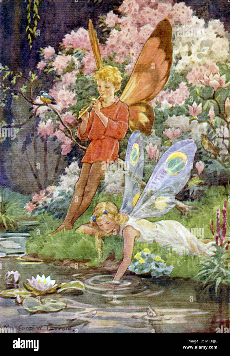 Fairies hi-res stock photography and images - Alamy