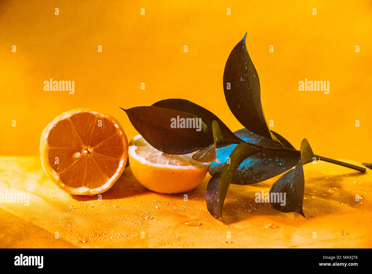 Still life with blue color hi-res stock photography and images - Alamy