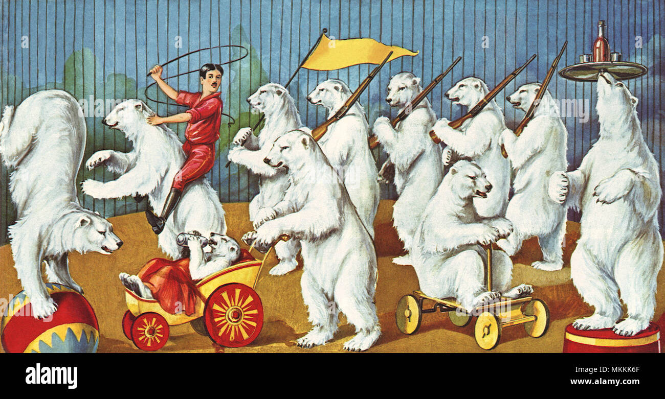 Performing Circus Bears Stock Photo - Alamy