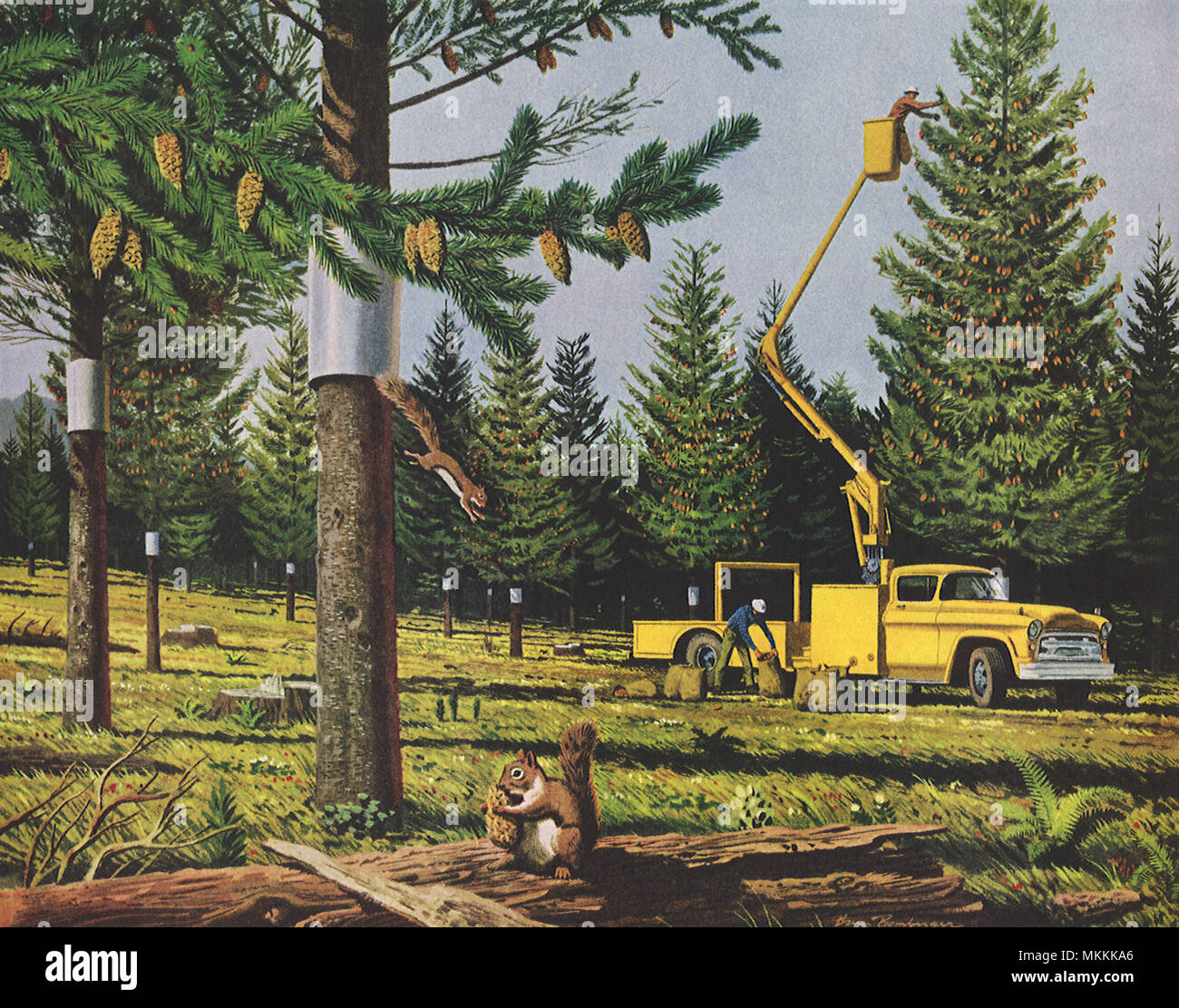 Topping lift hi-res stock photography and images - Alamy