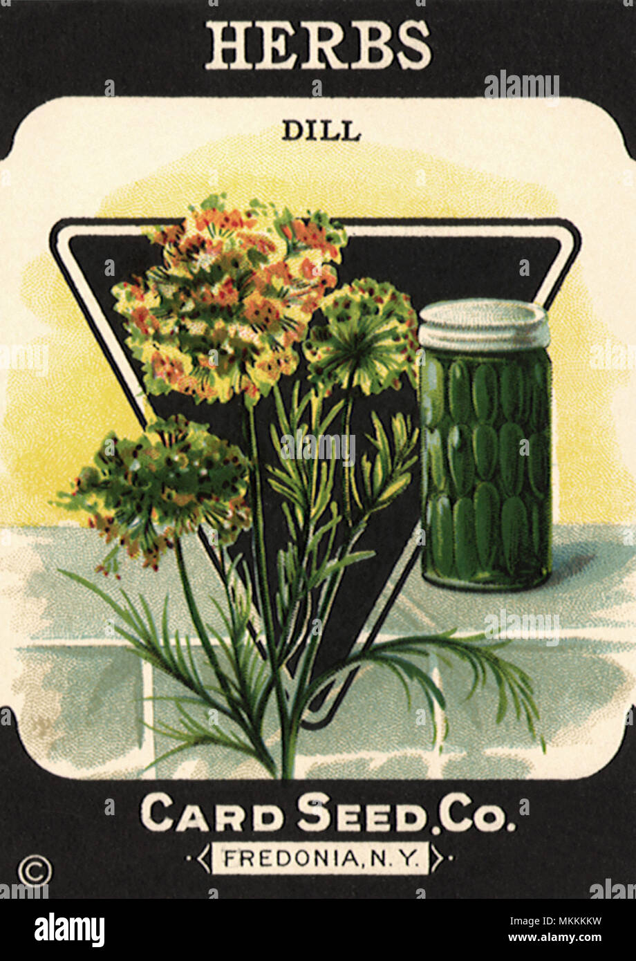 Herbs Seed Packet Stock Photo - Alamy