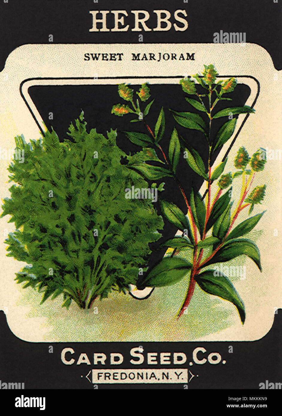 Seed extracts hi-res stock photography and images - Alamy