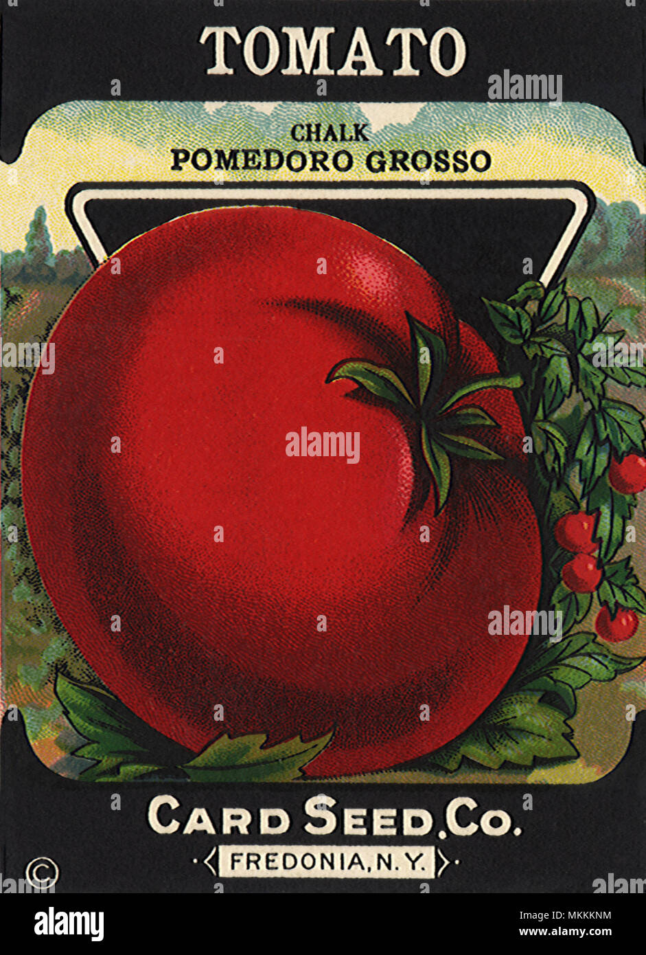 Tomato Seed Packet Stock Photo - Alamy