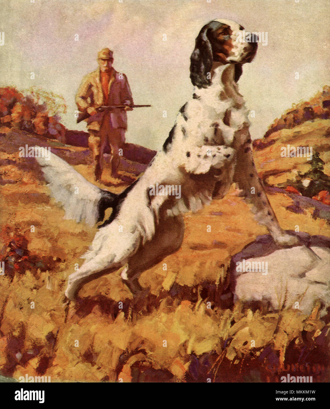 Vintage pointer dog hi-res stock photography and images - Alamy