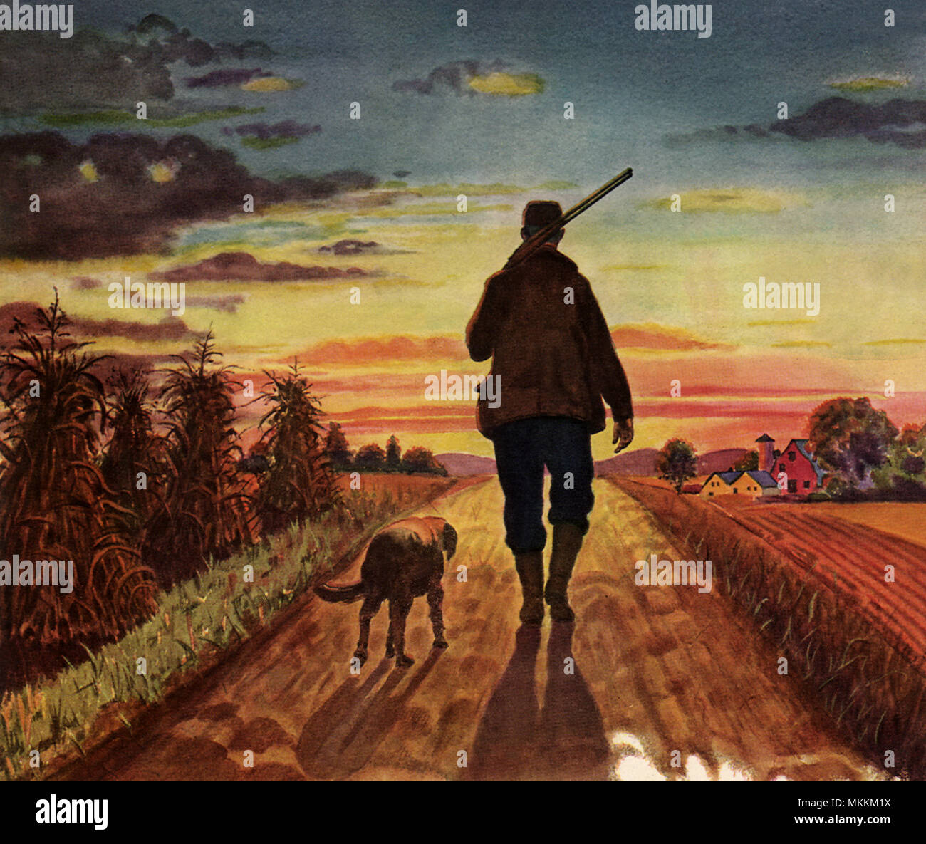 Hunter dog hi-res stock photography and images - Alamy