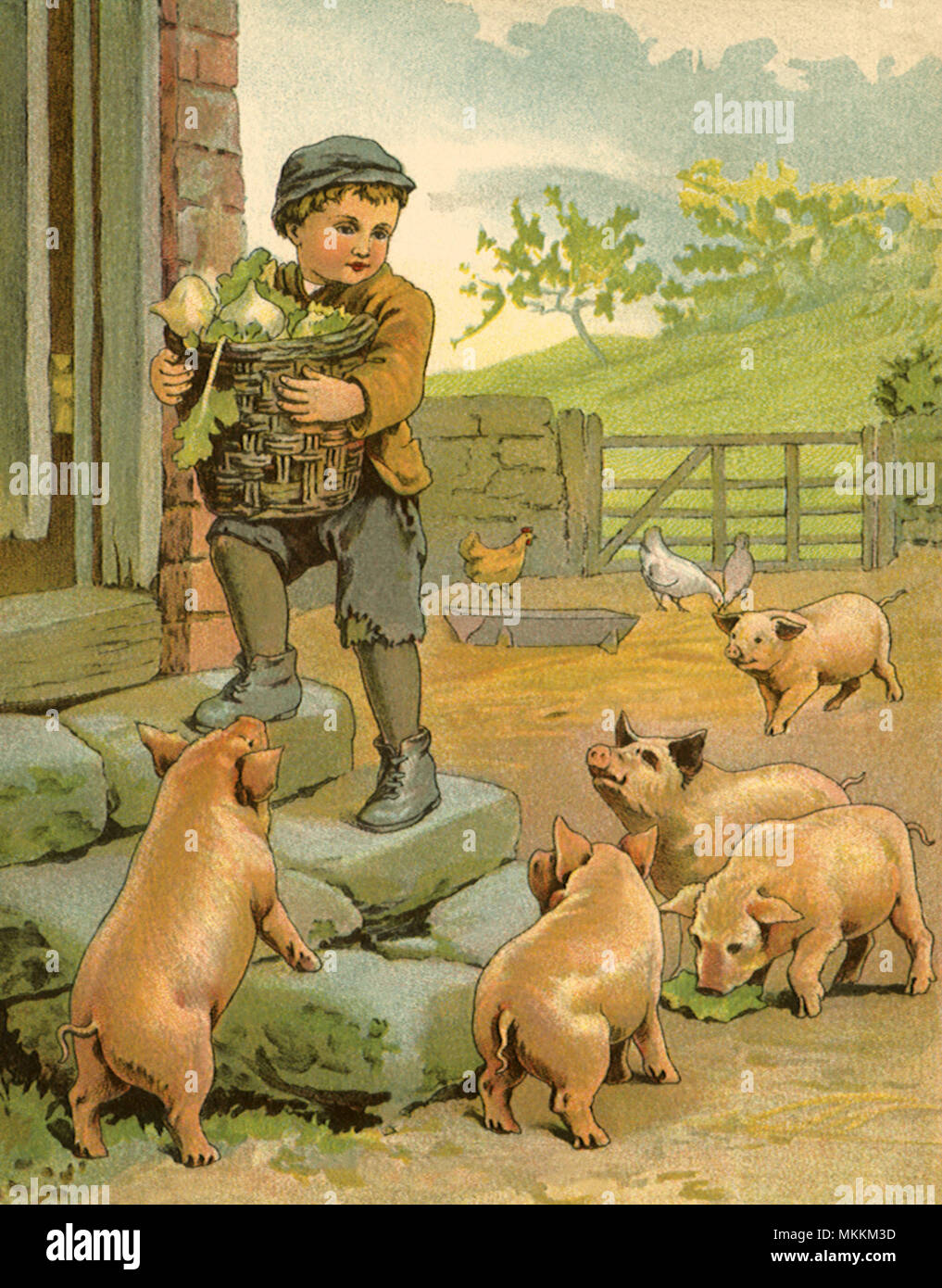 Farm boy with pigs hi-res stock photography and images - Alamy