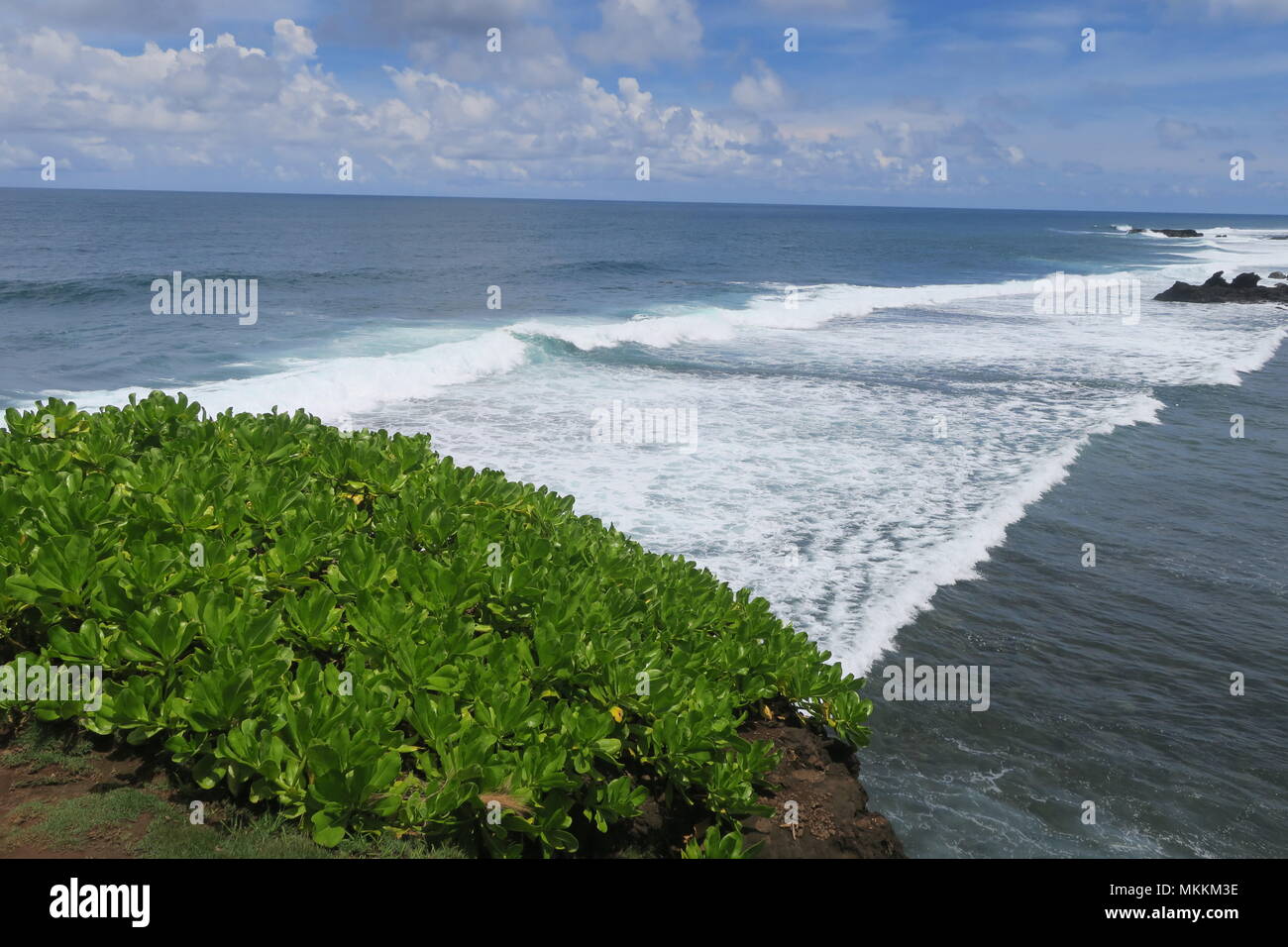 Maurice Bush High Resolution Stock Photography and Images - Alamy