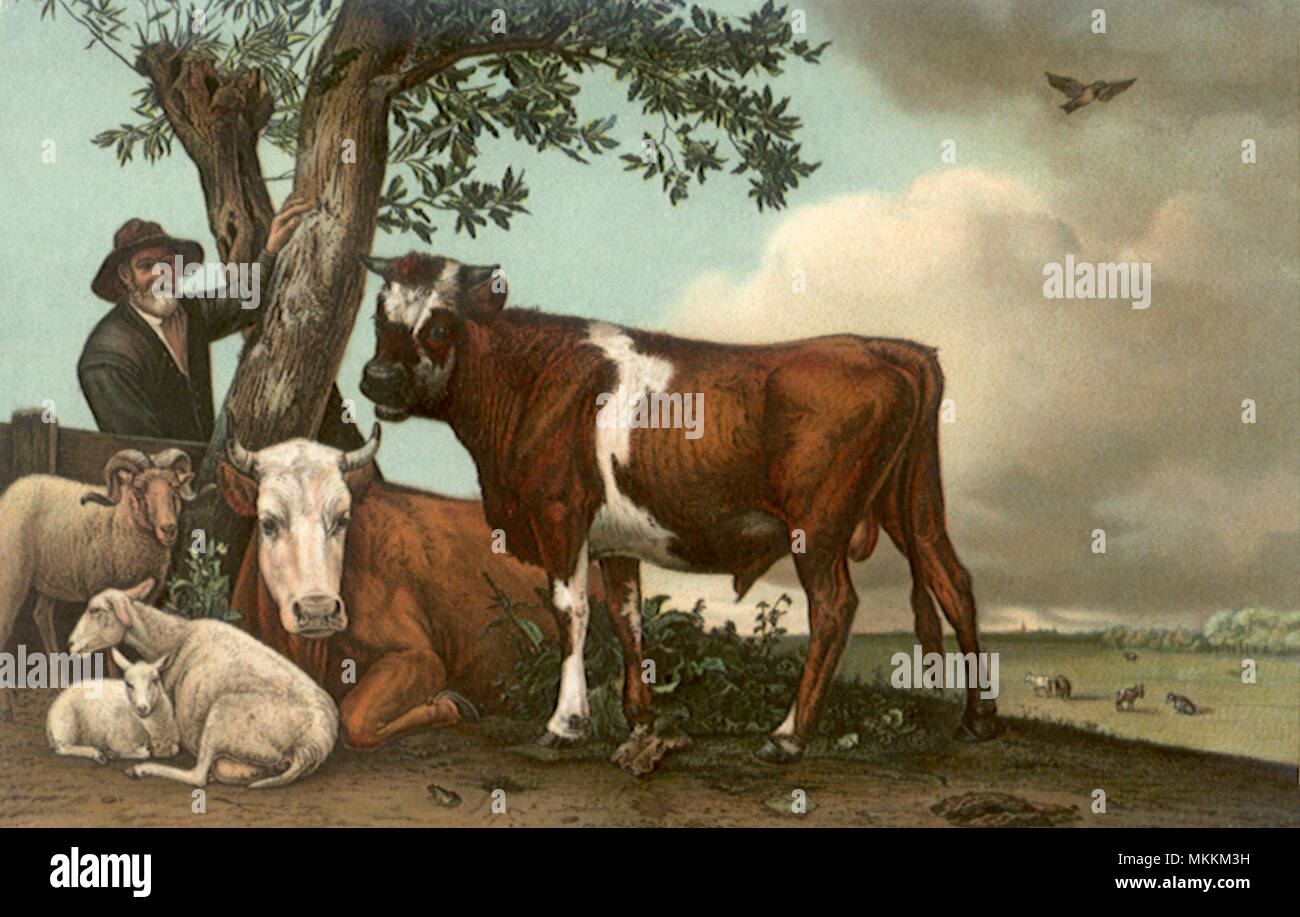 Sheep, Cows Under Tree Stock Photo - Alamy