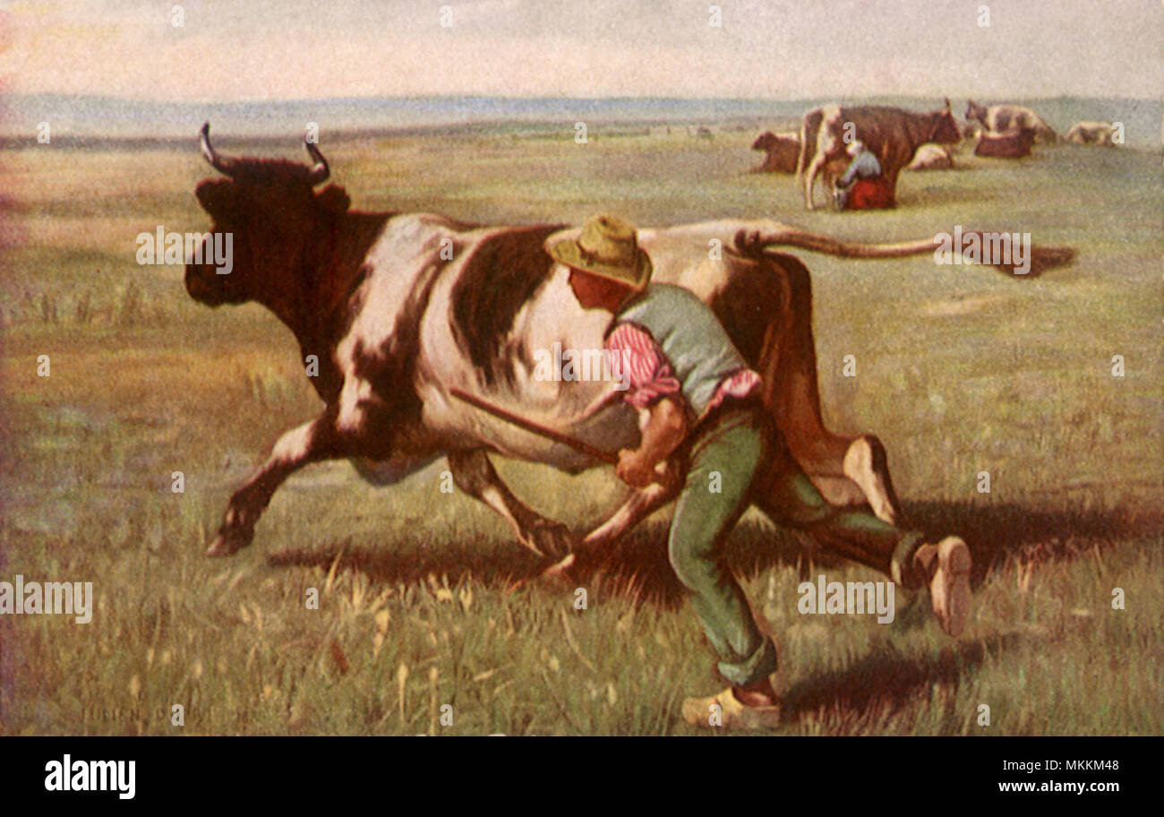 Boy Chasing Cow Stock Photo - Alamy