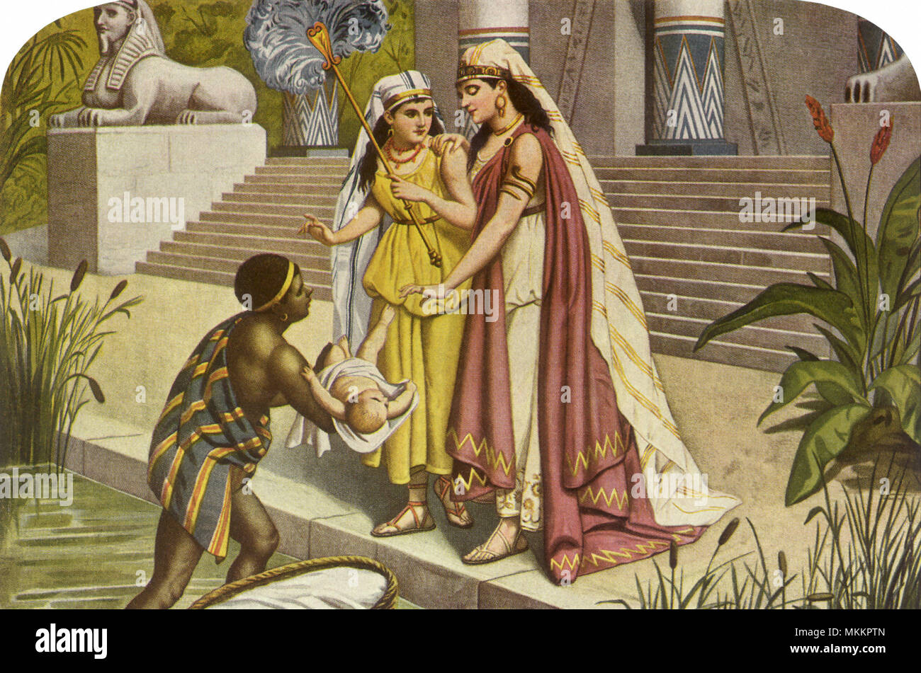 Moses bulrushes hi-res stock photography and images - Alamy