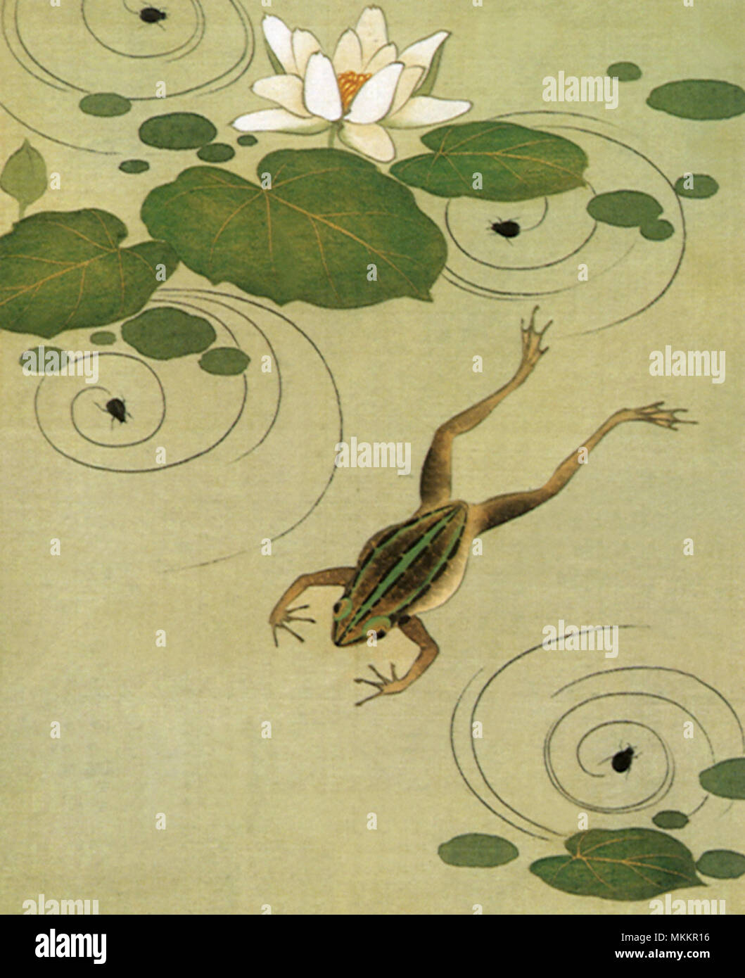 Japanese frog hi-res stock photography and images - Alamy