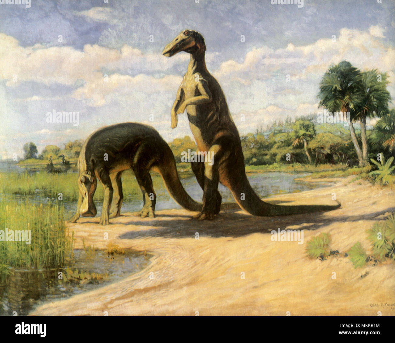 Anatosaurus hi-res stock photography and images - Alamy