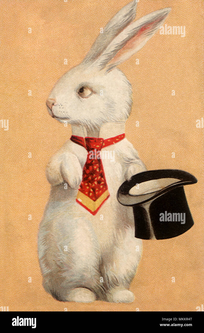 Rabbit top hat hi-res stock photography and images - Alamy