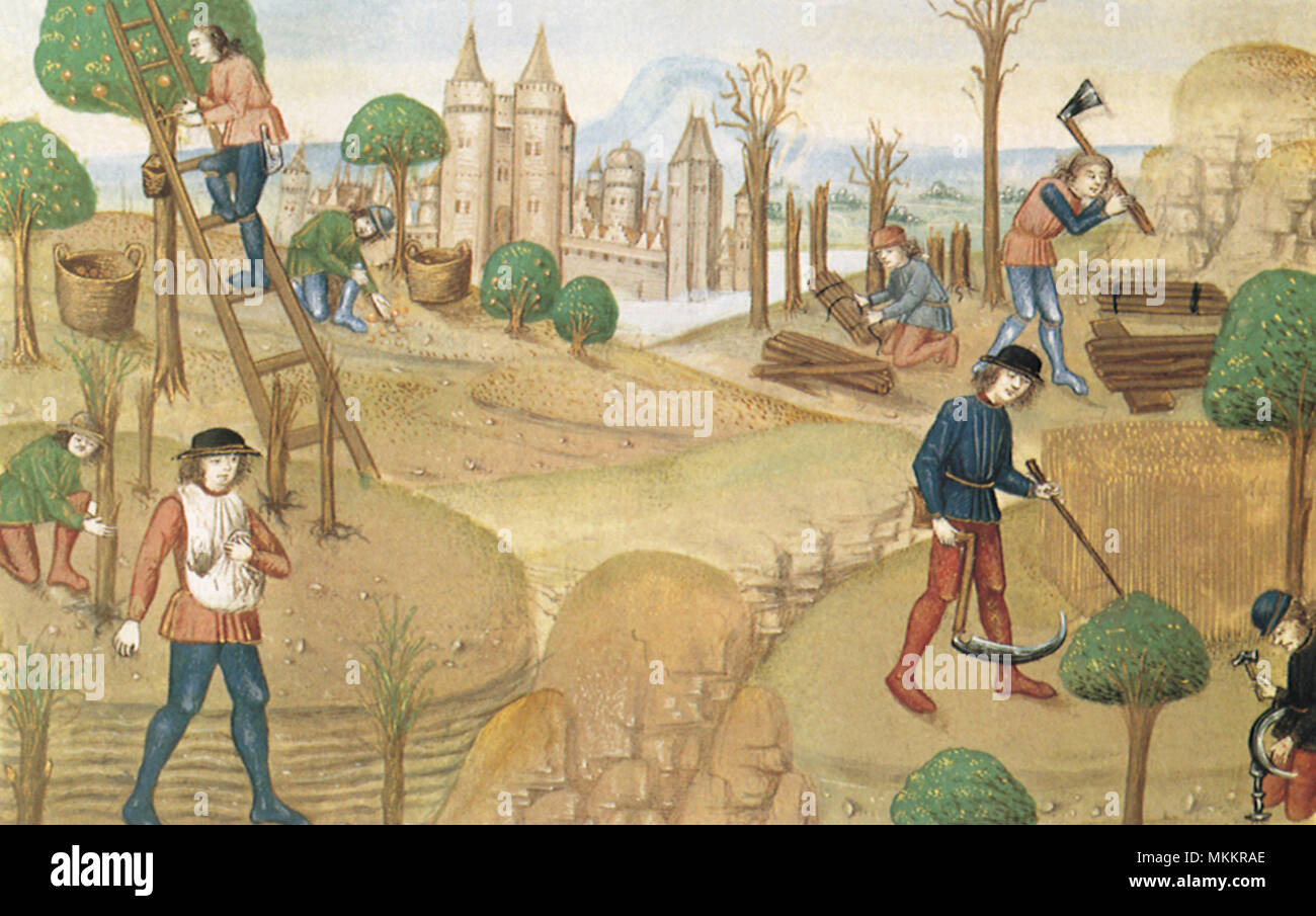 Chopping Wood Historical Stock Photos & Chopping Wood Historical Stock ...