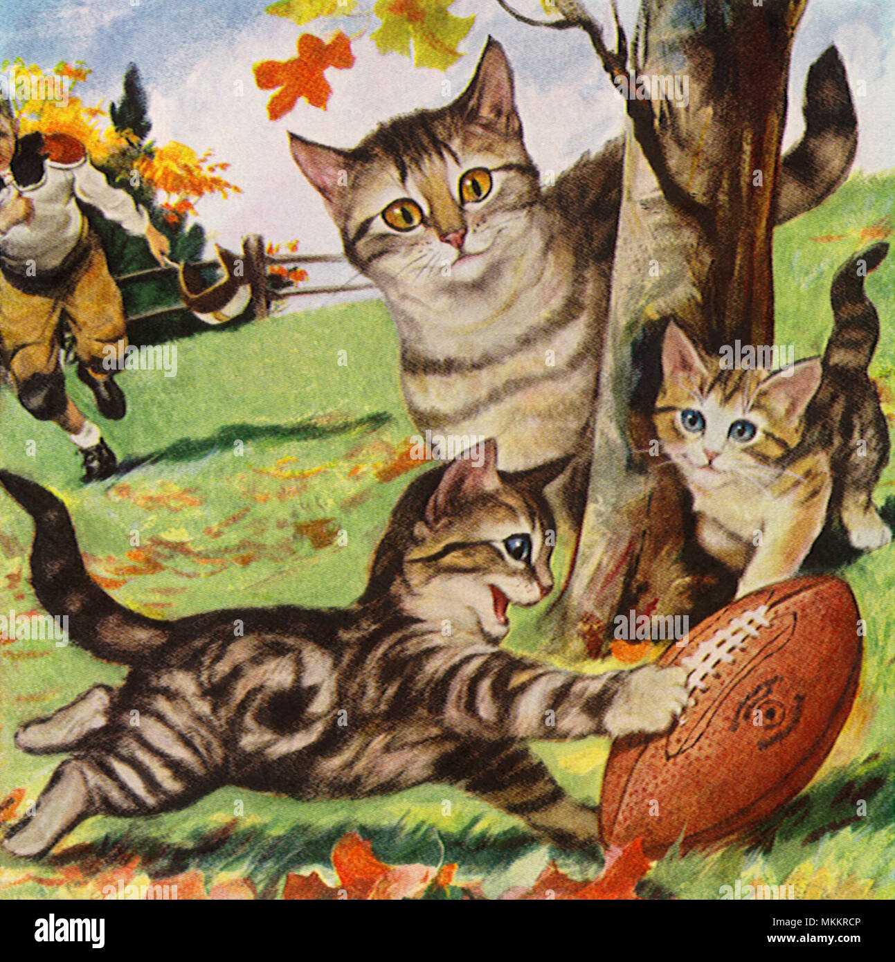 Kitten Chases Football Stock Photo - Alamy