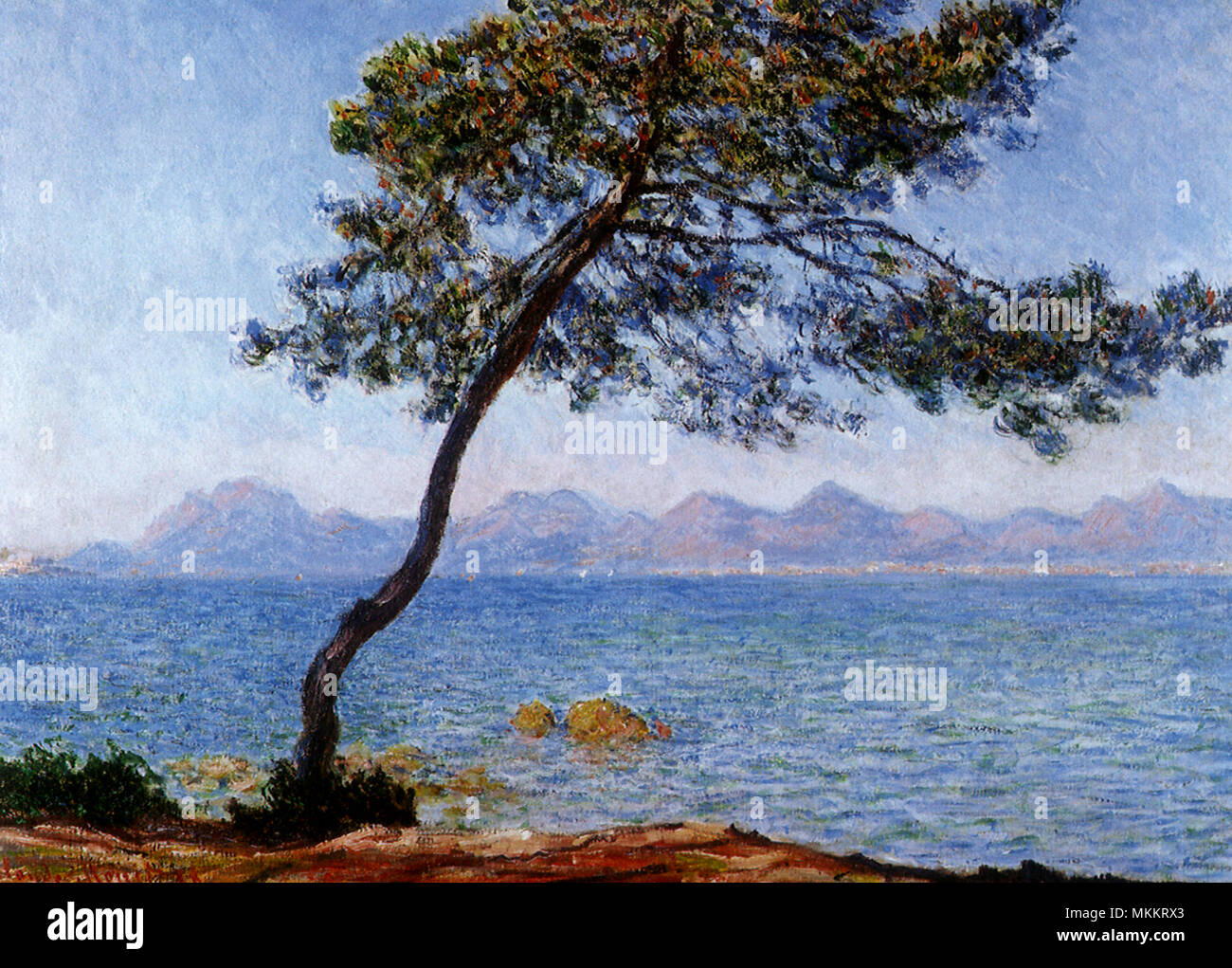 Monet tree hi-res stock photography and images - Alamy