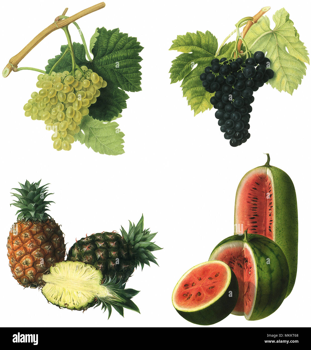 Fresh Fruit Selection Stock Photo - Alamy