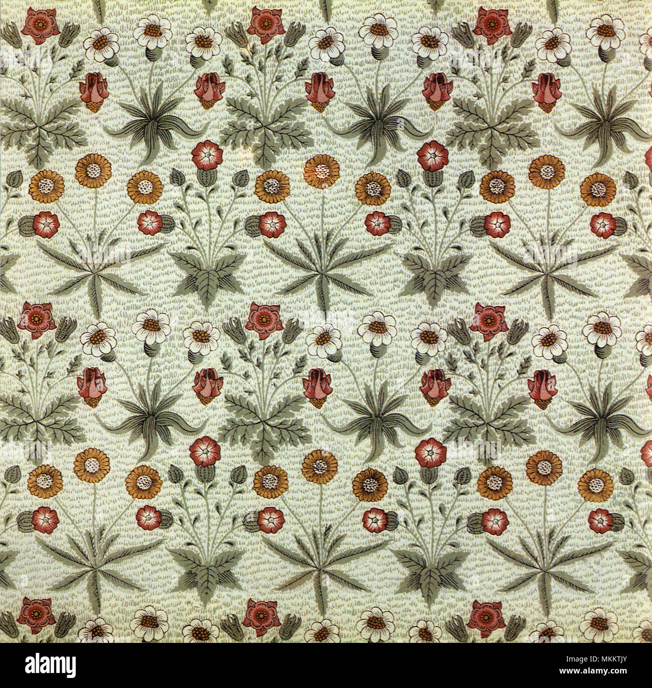 Daisy patterns hi-res stock photography and images - Alamy