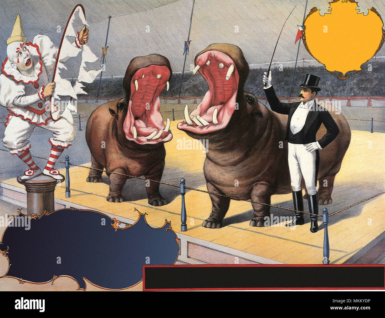 Circus Hippos and Clown Stock Photo - Alamy